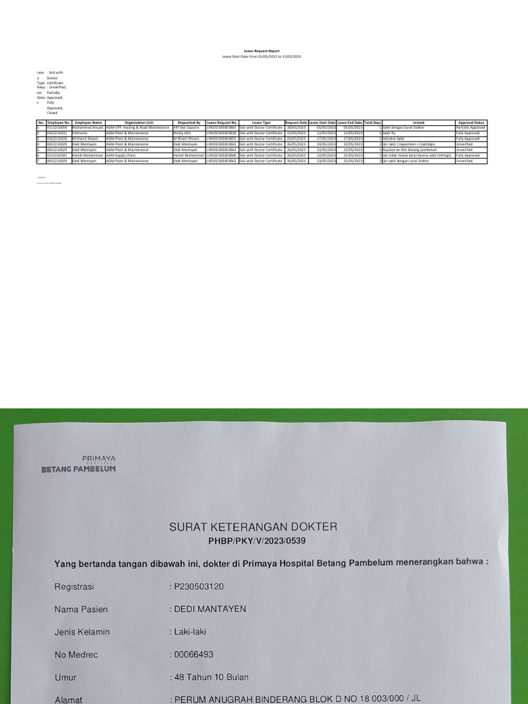 Sdc Mei 2023 Idmg | PDF