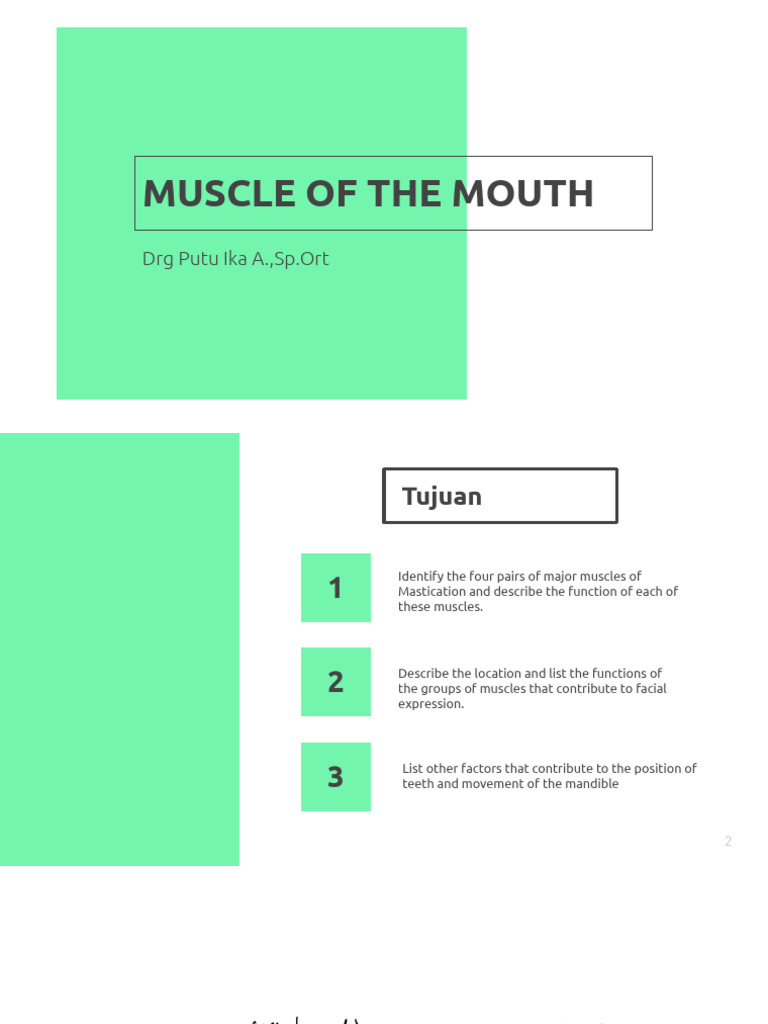 Muscles of The Mouth | PDF | Anatomy | Musculoskeletal System