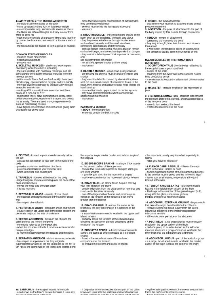 Anaphy W5 Reviewer | PDF | Human Leg | Arm