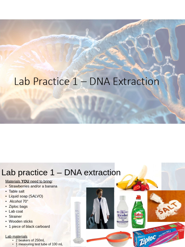 Practice 1 - DNA Extraction | PDF | Ethanol