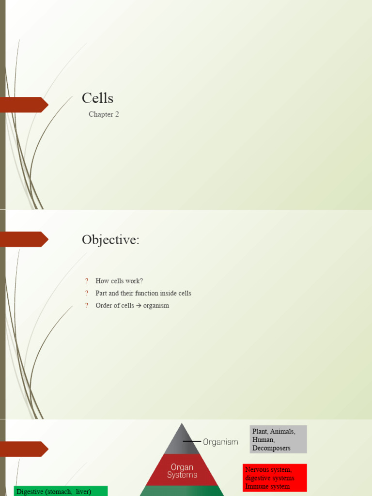 Cells Student | Download Free PDF | Cell (Biology) | Tissue (Biology)