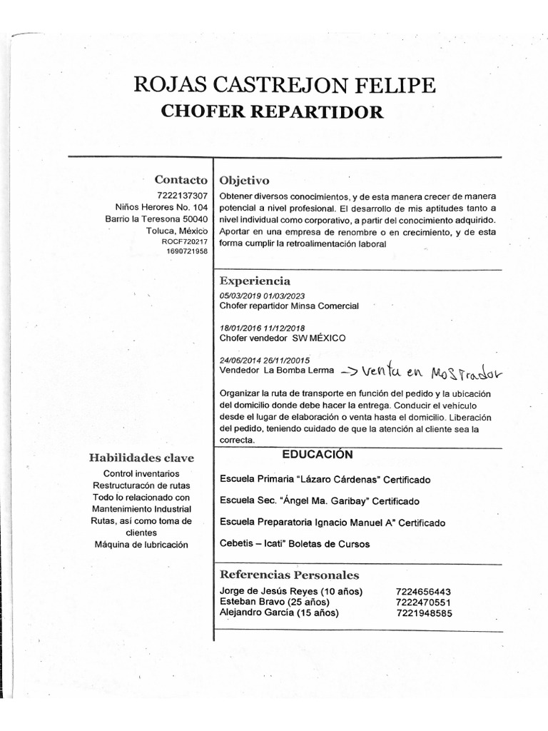 CV Ejemplo para Descargar | PDF