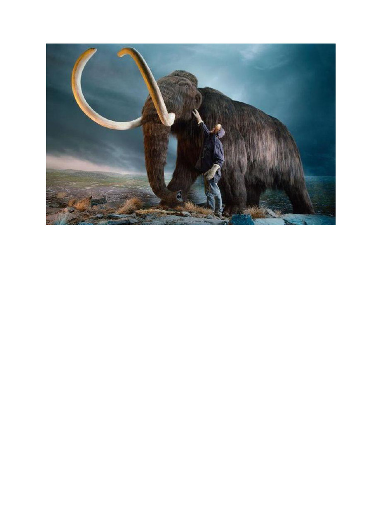 MAMUT3 | PDF