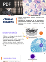 Celulas Dendriticas y Macrofagos | PDF | Célula dendrítica | Linfocitos