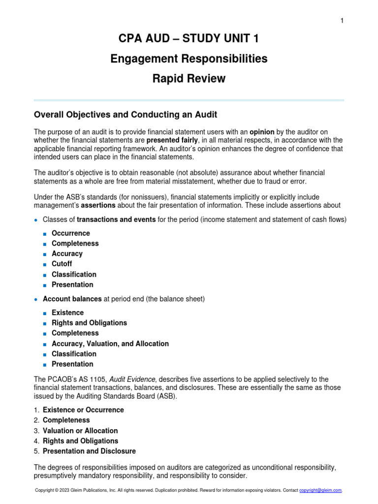 Cpa Aud Su1 CC Merged | PDF | Internal Control | Financial Audit