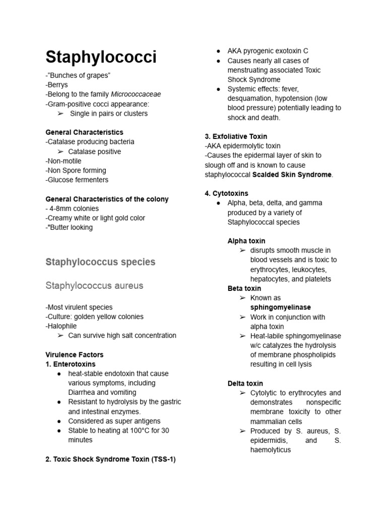 Staphylococci | PDF | Staphylococcus | Staphylococcus Aureus