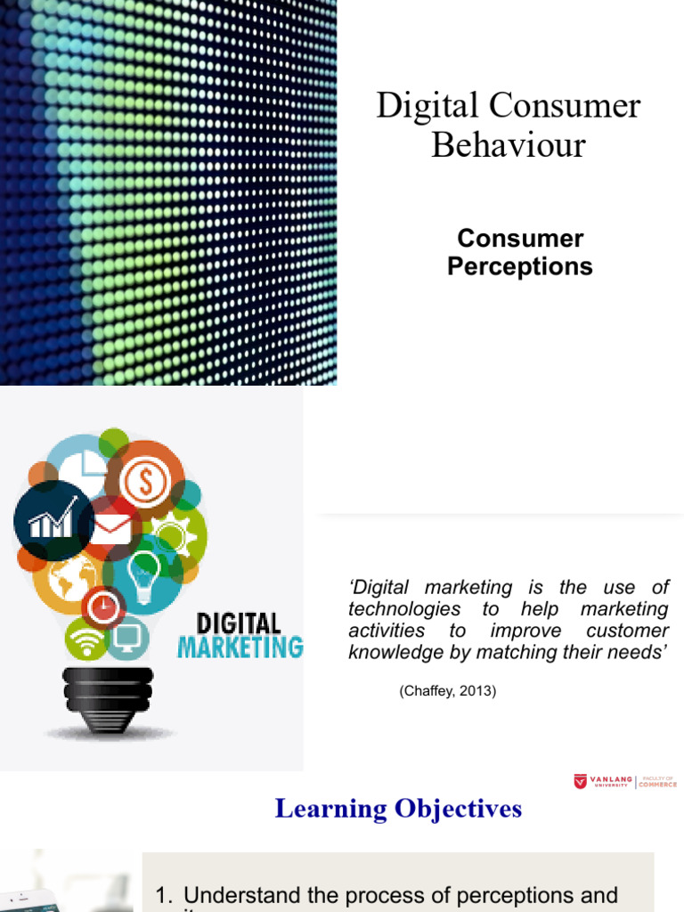 Chapter 2 - Consumer Perception | PDF | Customer Experience | Consumer Behaviour