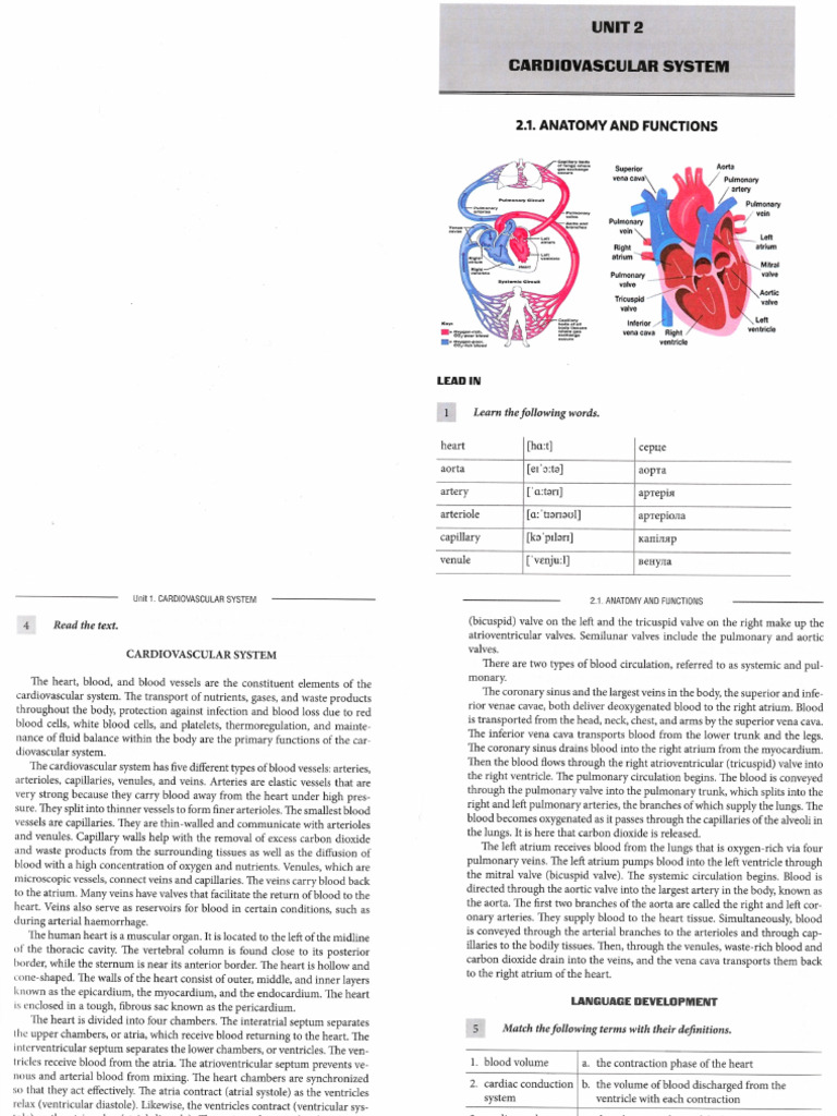 Cardiovascular System | PDF