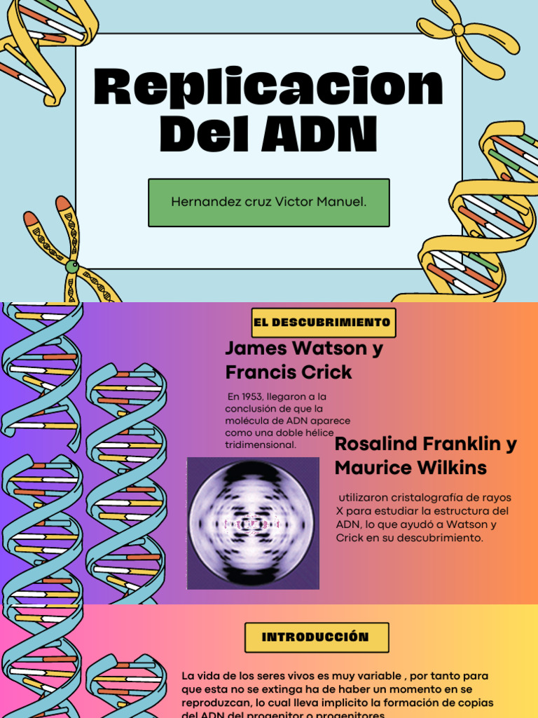 Replicacion y Trasncripcion Del Adn | PDF | Adn | Rna