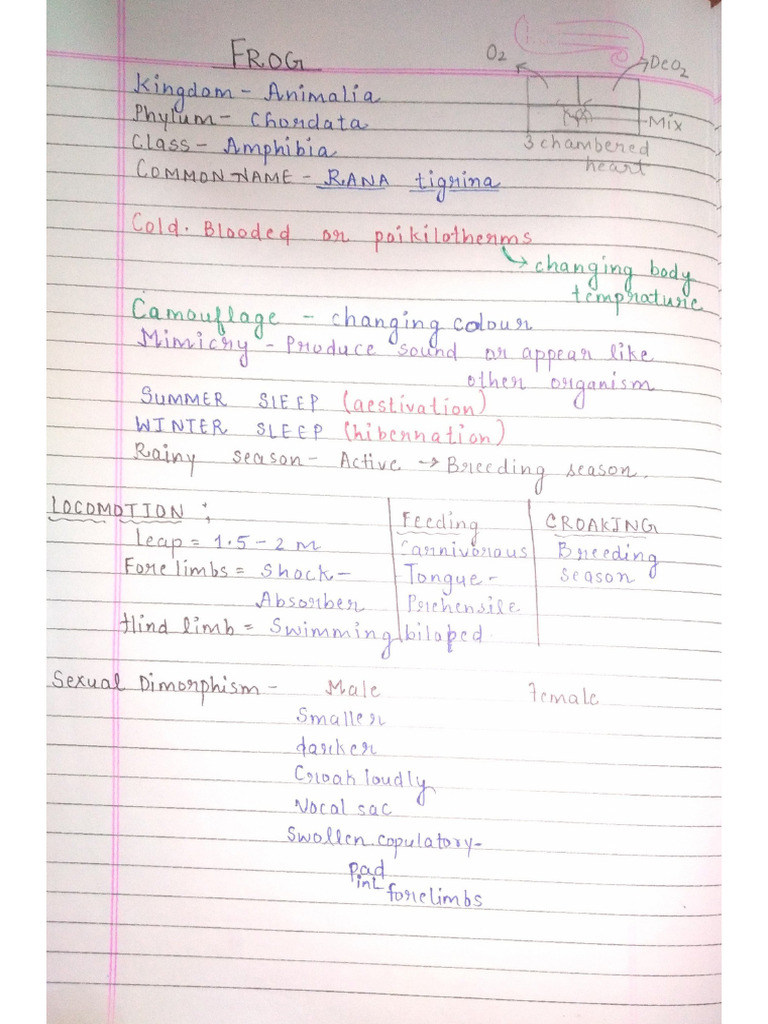 Frog Notes by Aadrika | PDF