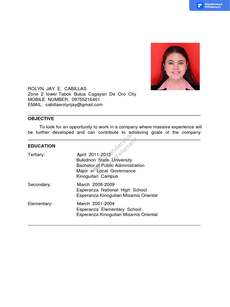 Rolyn Jay's Professional Profile | PDF | Business