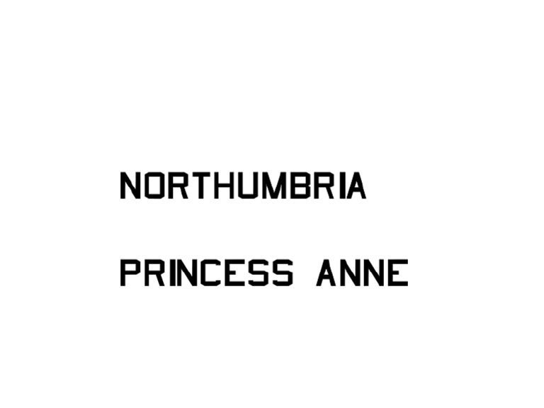 Names in Navy Text | PDF