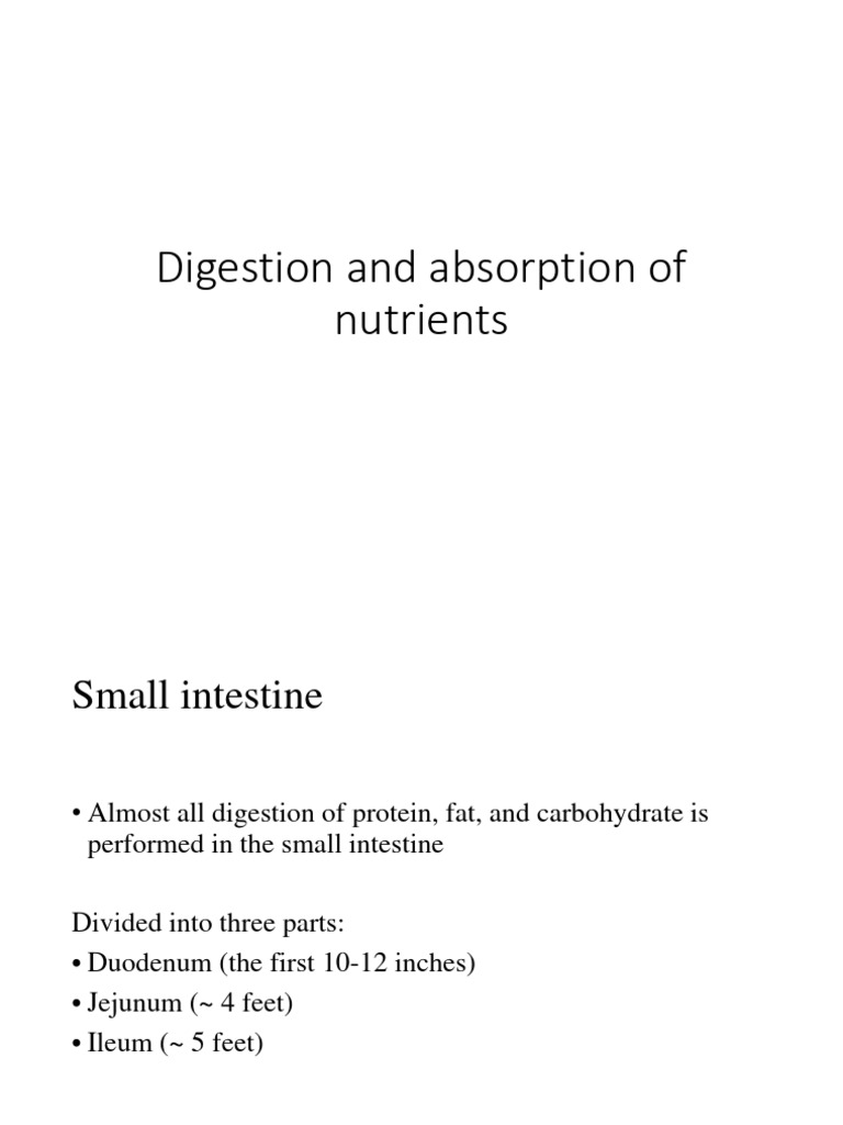 Week-1 - 04-Digestion and Absorption of Nutrients | PDF | Small ...