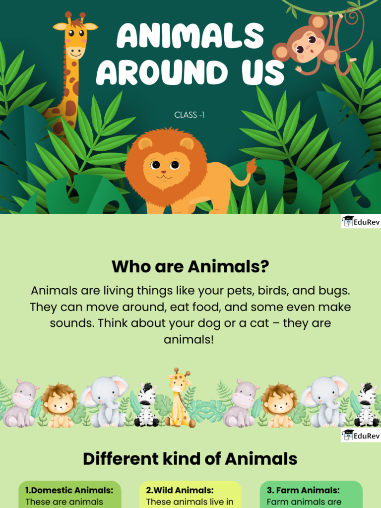 Animals Around Us Delete | PDF | Foods | Pet