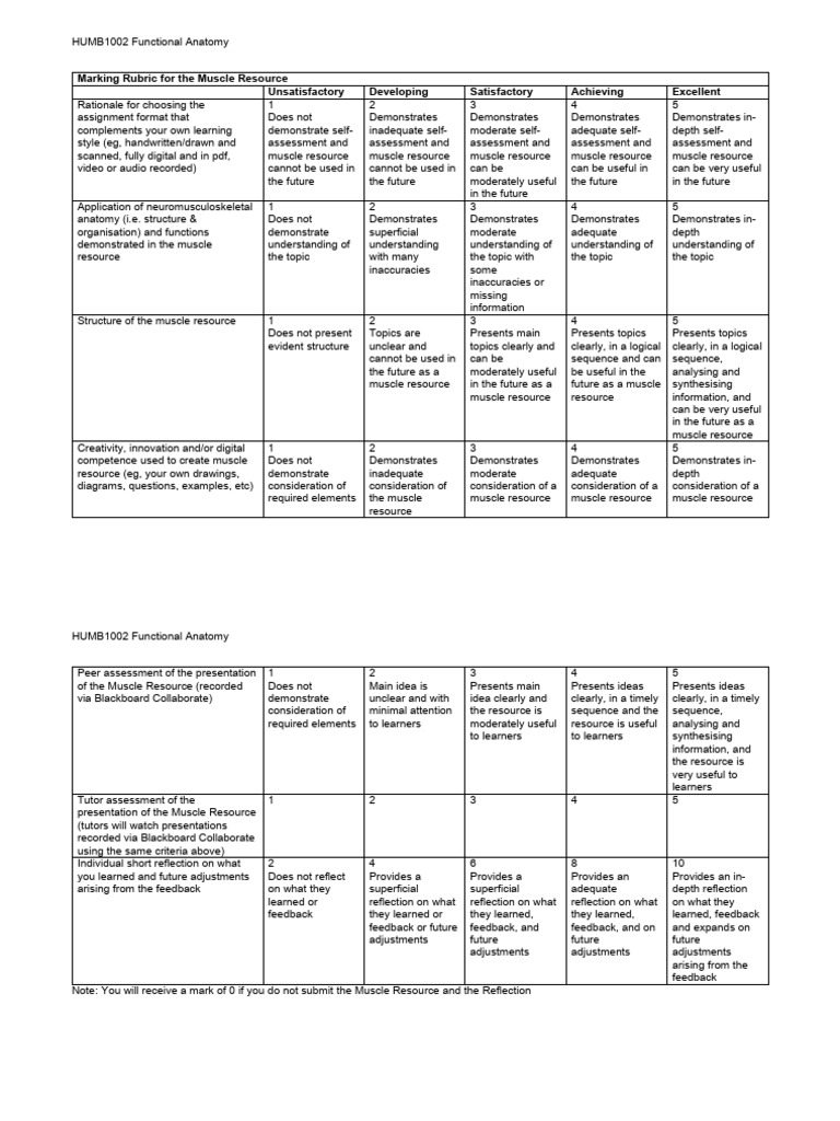 Muscle Anatomy Educational Resource - Marking Rubric | PDF | Learning | Cognitive Science
