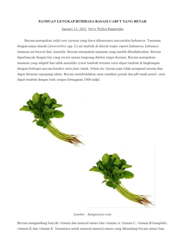 Bayam Cabut | PDF