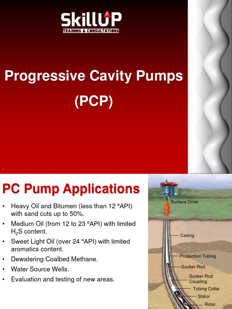 PCP Pump AlS | PDF | Mechanical Engineering | Materials