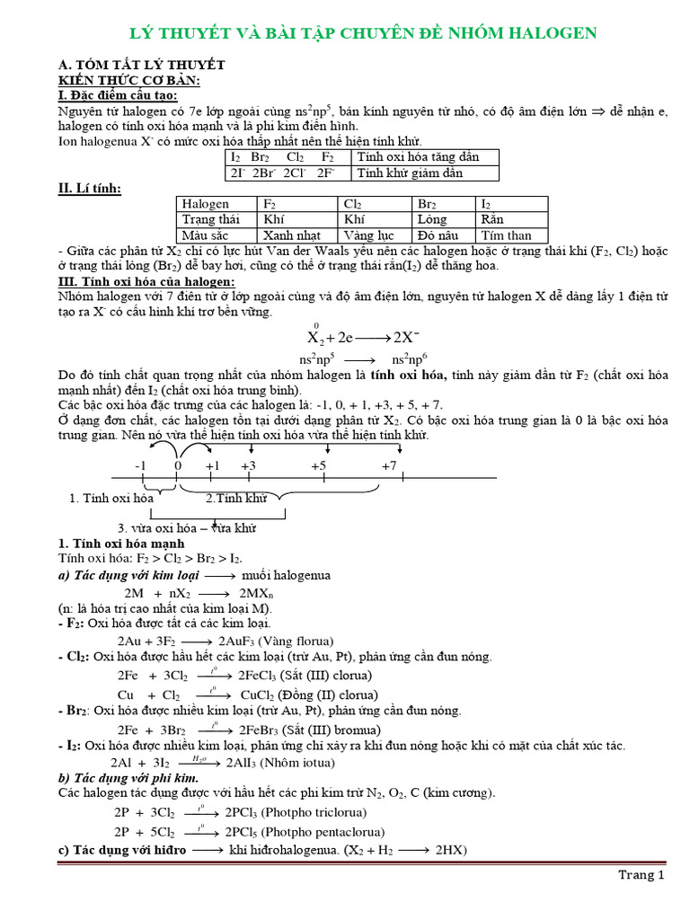 Ly Thuyet Va Bai Tap Chuyen de Halogen | PDF
