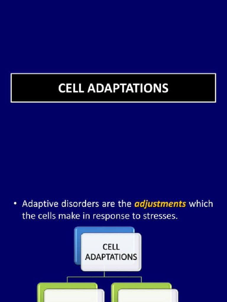Cell Adaptation 2024 | PDF