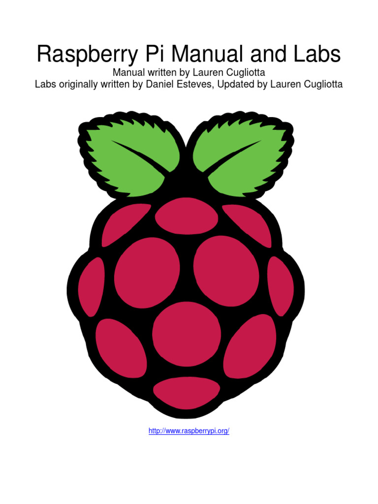 2019 MANUAL Raspberry Pi v.2 | PDF | Raspberry Pi | Usb