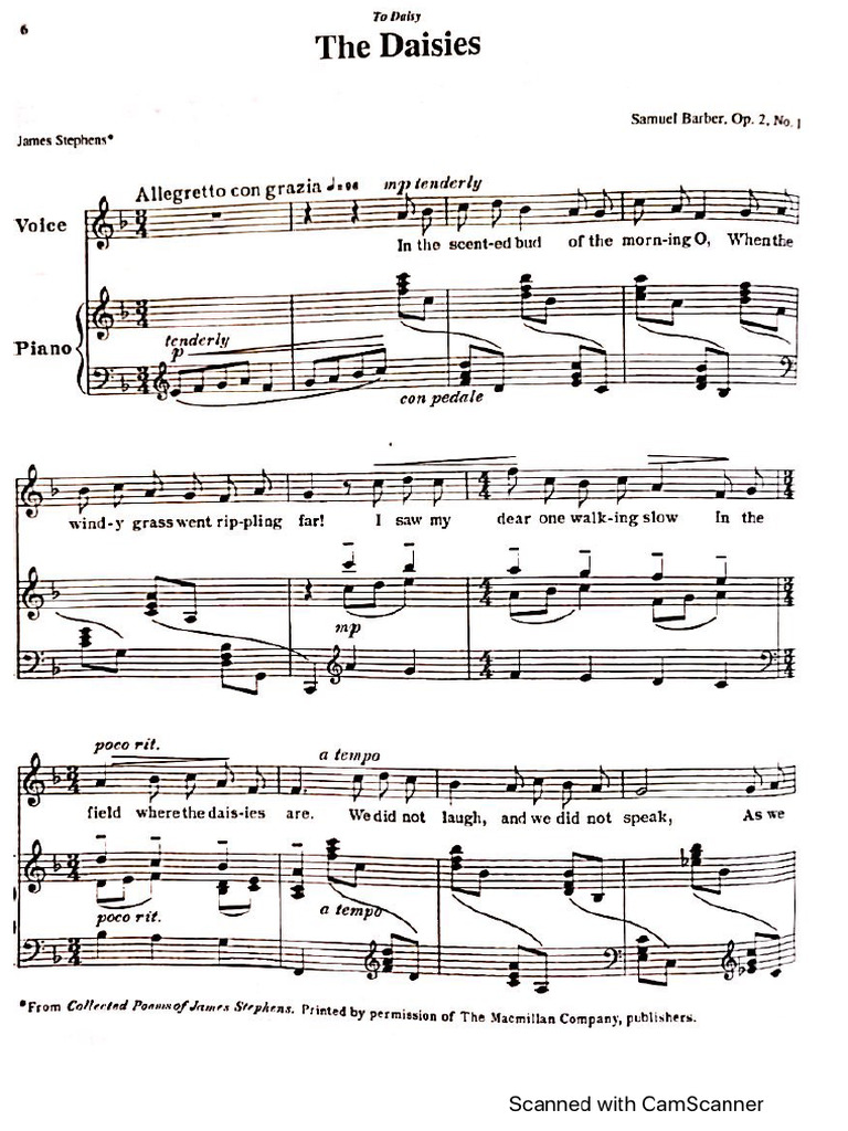 The Daisies | PDF