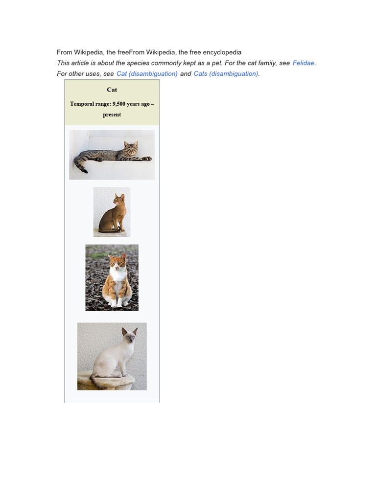 This Article Is About The Species Commonly Kept As A Pet. For The Cat ...