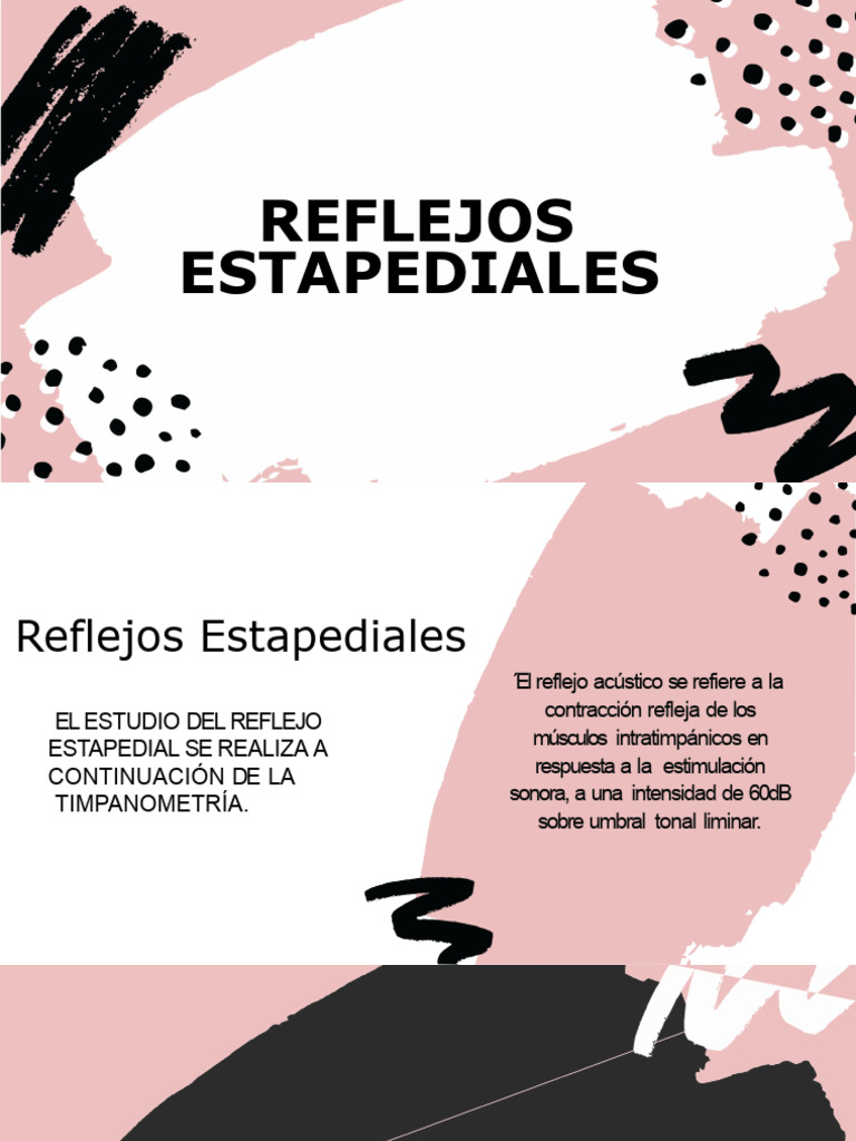 Clase Reflejos 2 | PDF | Anatomía | Órganos sensoriales