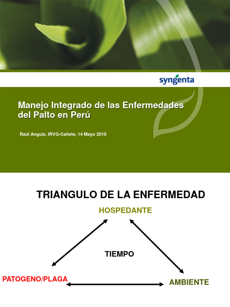 Manejo Integrado Enfermedades Paltos 2010 | PDF | Cosecha | Injerto