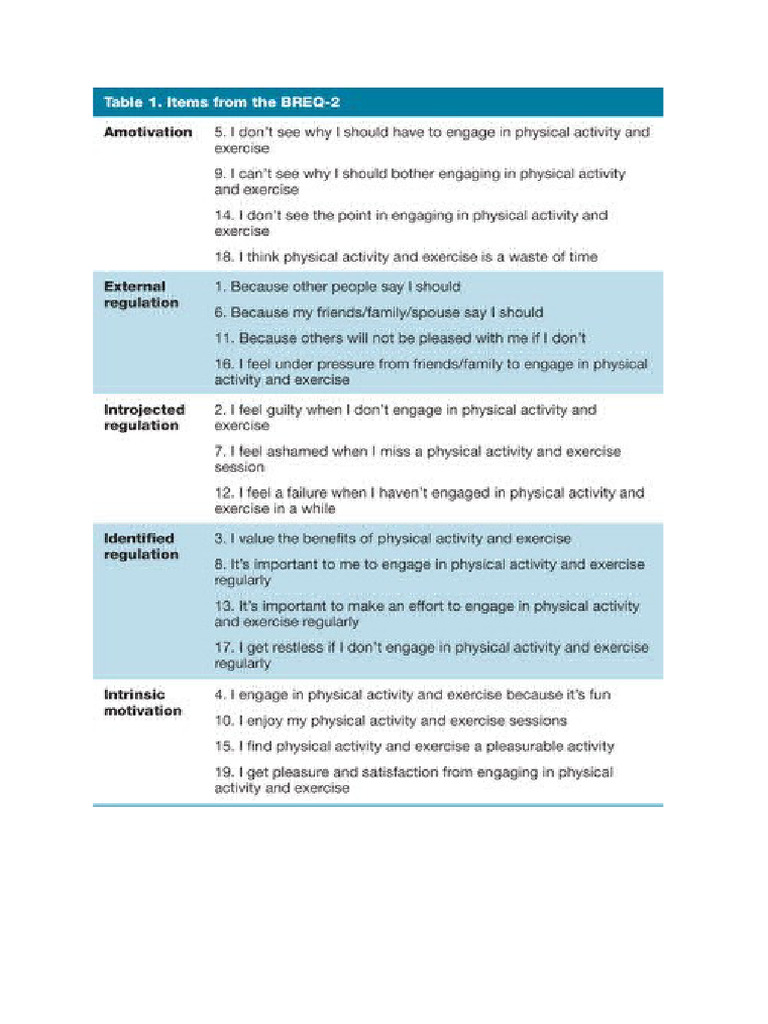 BREQ - mOTIVATION | PDF