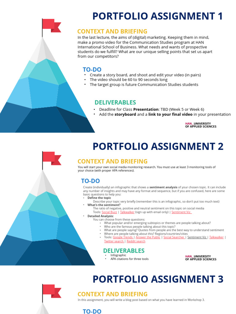 Digital Marketing Portfolio Assignments | PDF | Search Engine Optimization | Peer Review