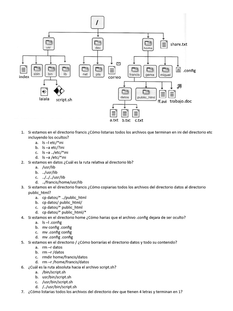 5ejercicios de Comandos Básicos 5 | PDF | Archivo de computadora | Directorio (Computación)