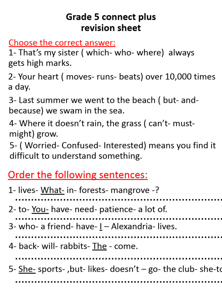 5 Connect Plus Revision | PDF