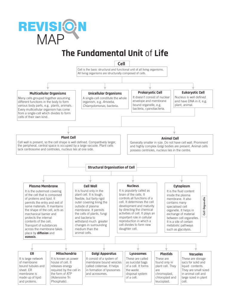 Revision-Map Chapter 5 | PDF | Cell (Biology) | Cell Membrane