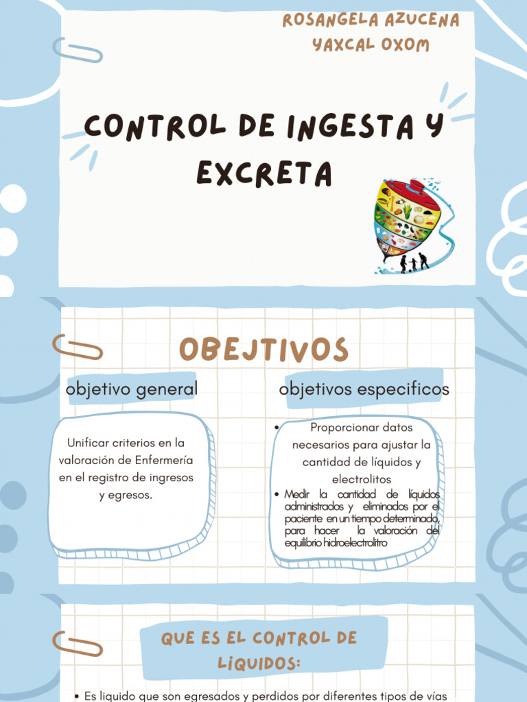 Control de Ingesta y Excreta (1) - Copia | PDF