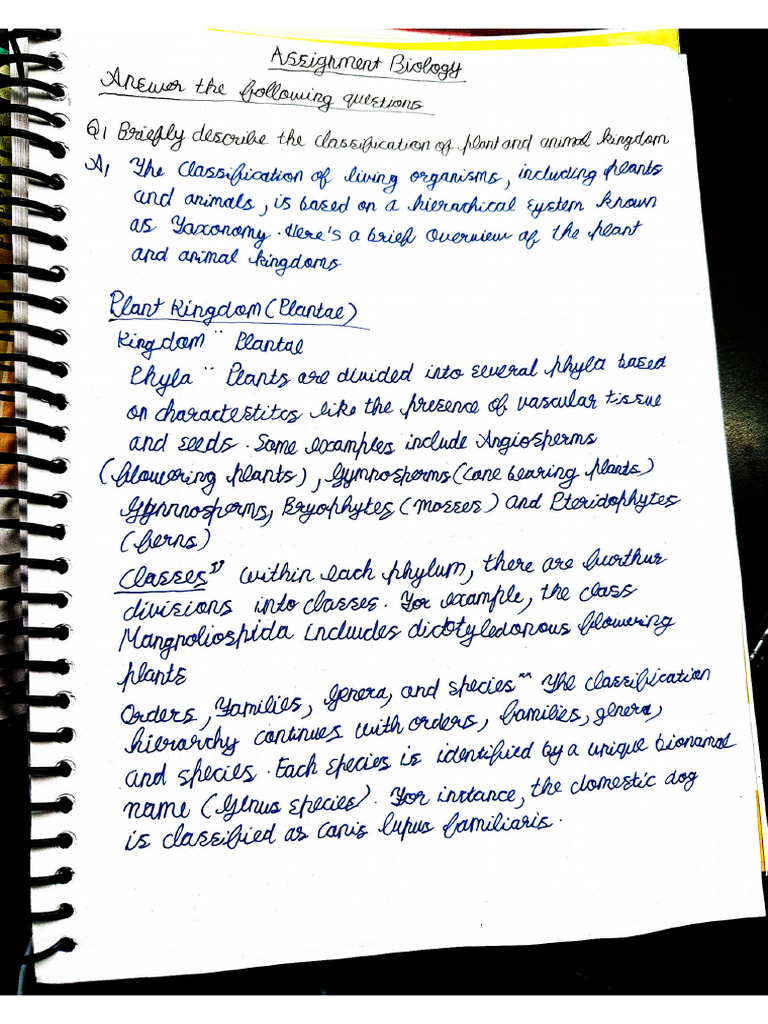 Bio Assignment | PDF