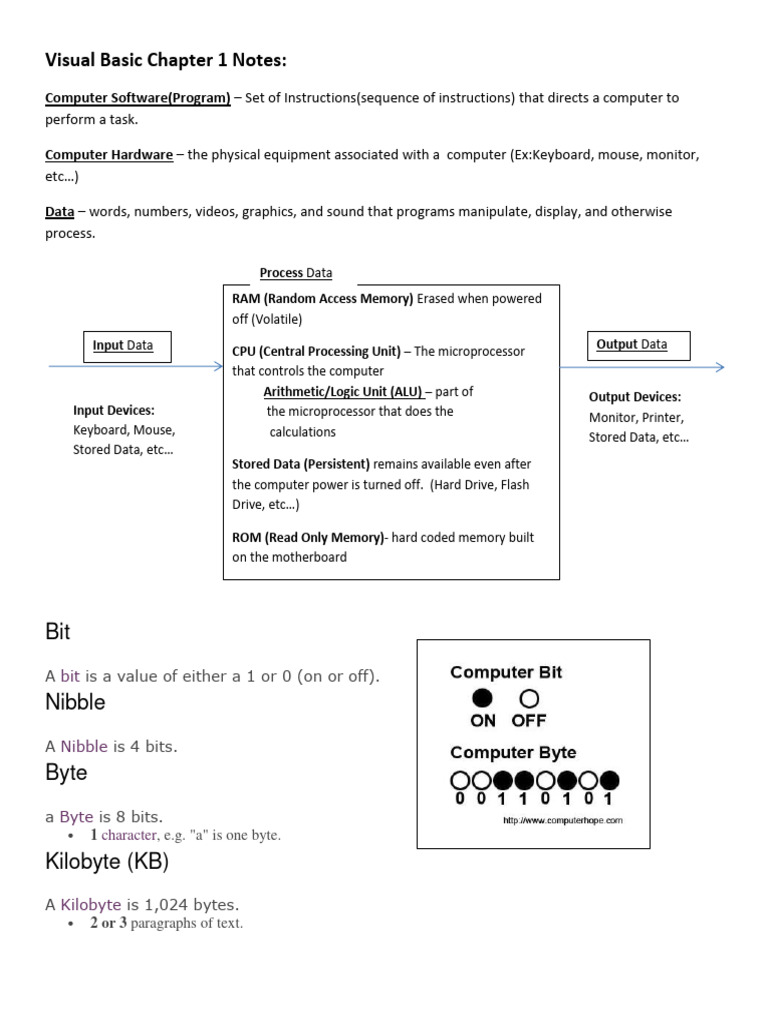 Visual Basic Basics and Key Concepts | PDF | Computer Program | Programming
