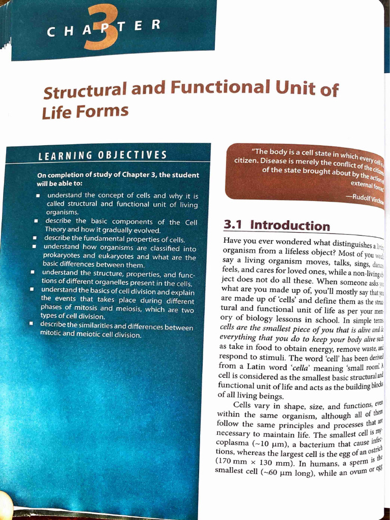 Module 1 - BIE CHP 3 | PDF | Cell (Biology) | Cell Membrane