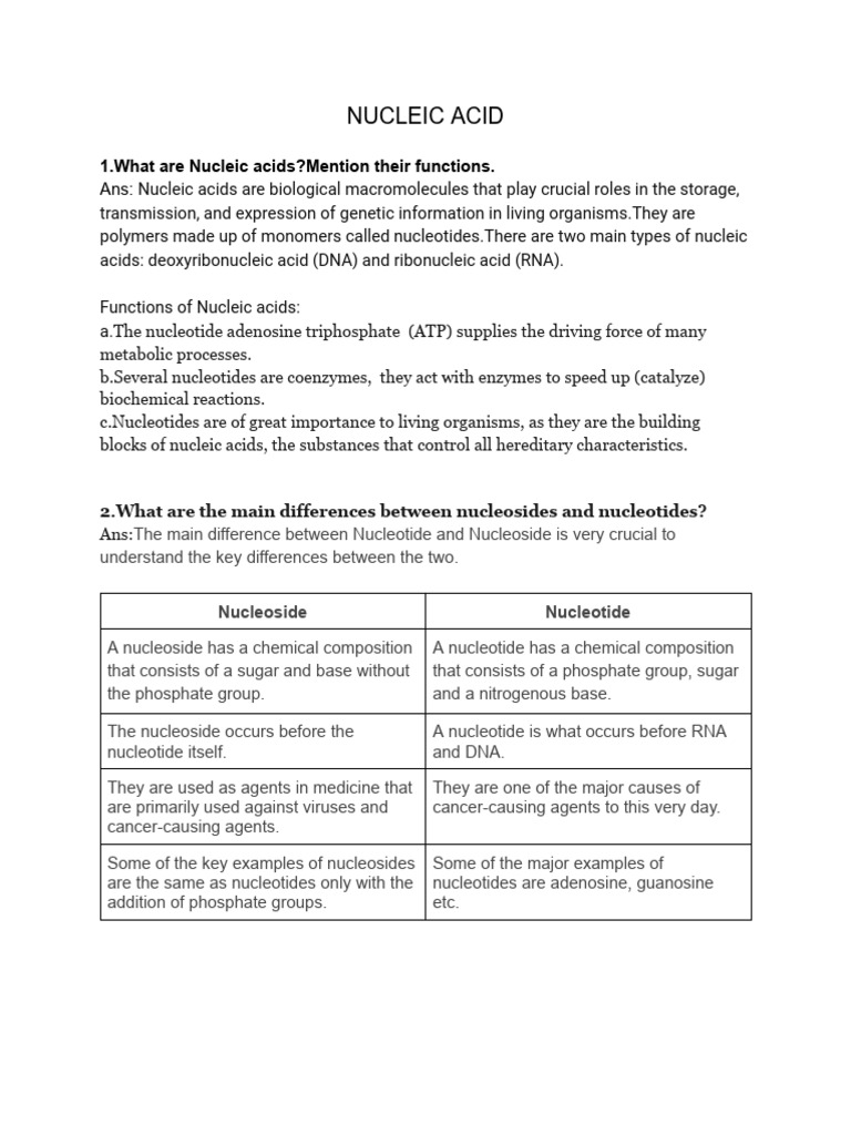 NUCLEIC ACID Notes | PDF | Rna | Messenger Rna