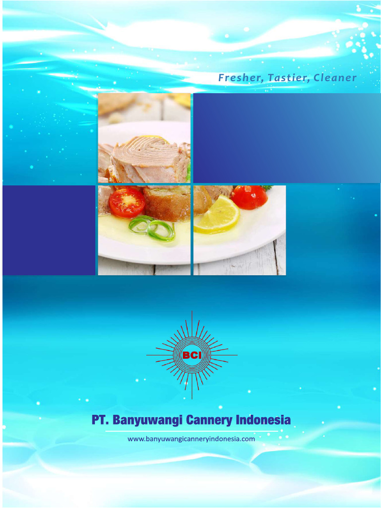 Company Profile - PT. BCI. | PDF