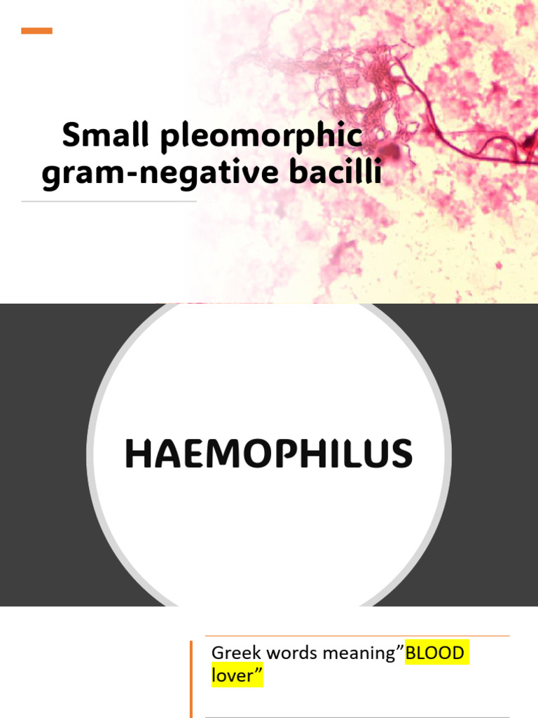 11Small Pleomorphic Gram Negative Bacilli | PDF | Biology | Microbiology