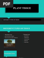 Bio F1 Rev - Sam Obare | PDF | Photosynthesis | Stoma