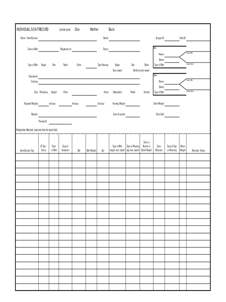 Individual Goat Record Template | PDF | Goat | Horse Breeding