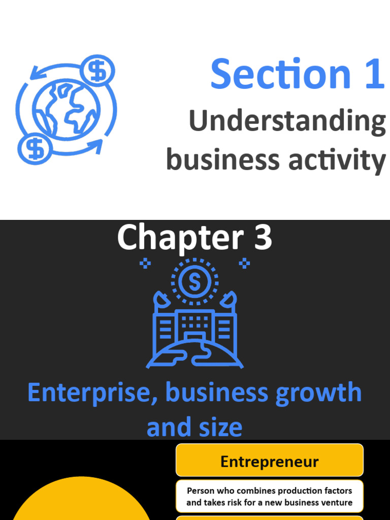 Section 1, Chapter 3 - Enterprise, Business Growth and Size | PDF ...