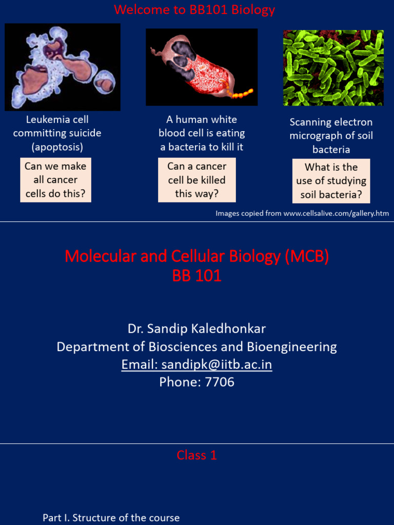 BB101 MCB 1 | PDF | Life | Evolution