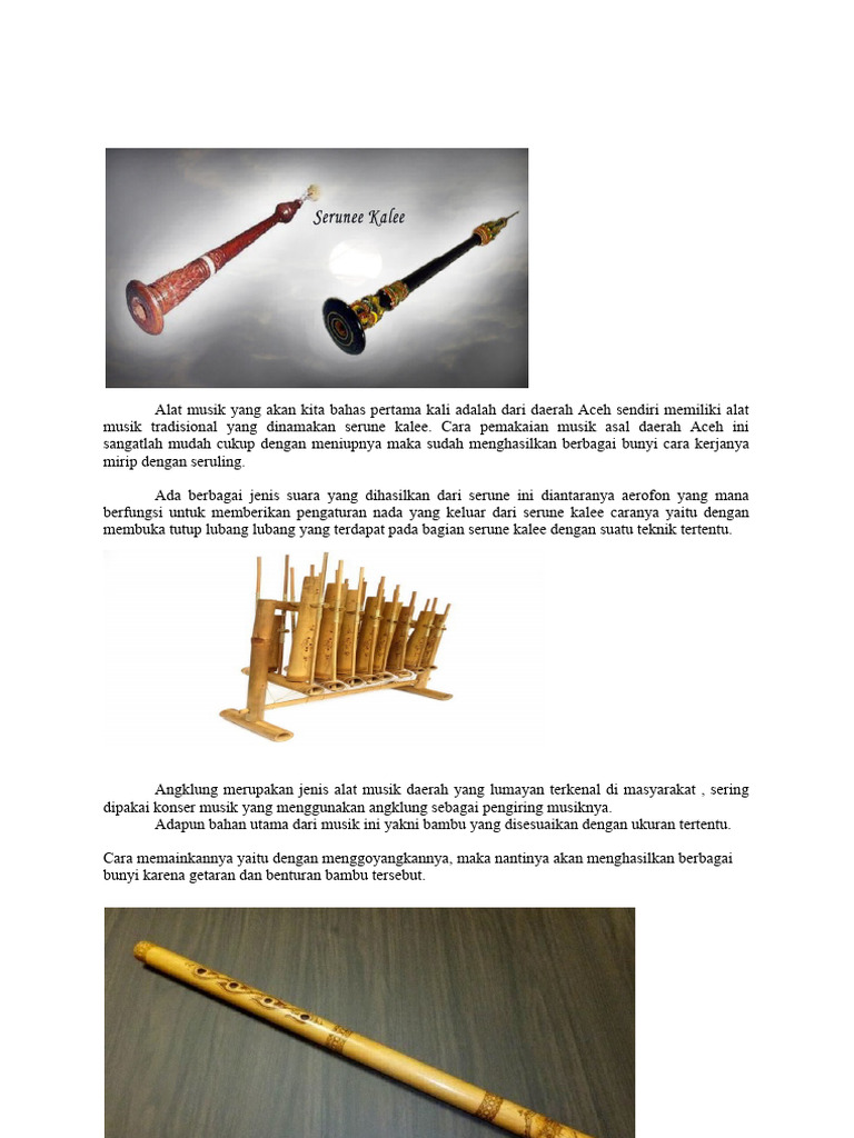 Alat Musik Yang Akan Kita Bahas Pertama Kali Adalah Dari Daerah Aceh ...
