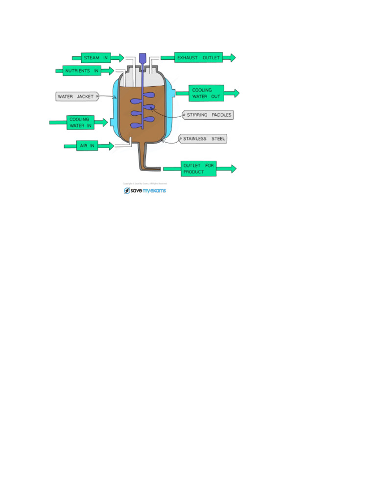 Fermenter | PDF