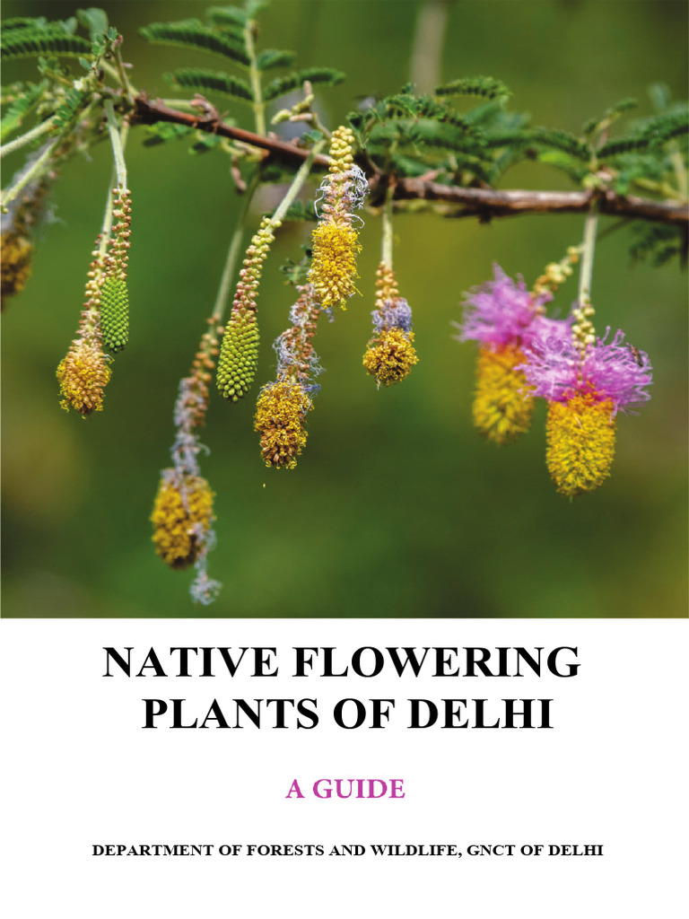 Native Plants of Delhi: A Guide | PDF | Trees | Seed