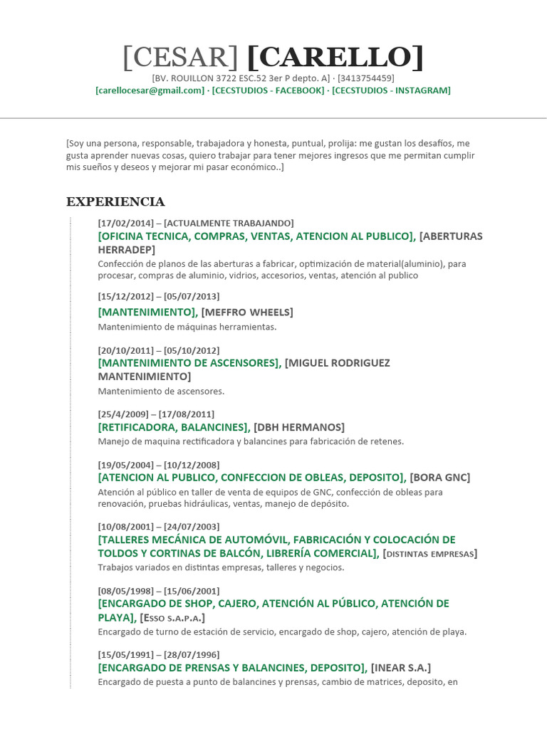 Curriculum Cesar | PDF | Informática