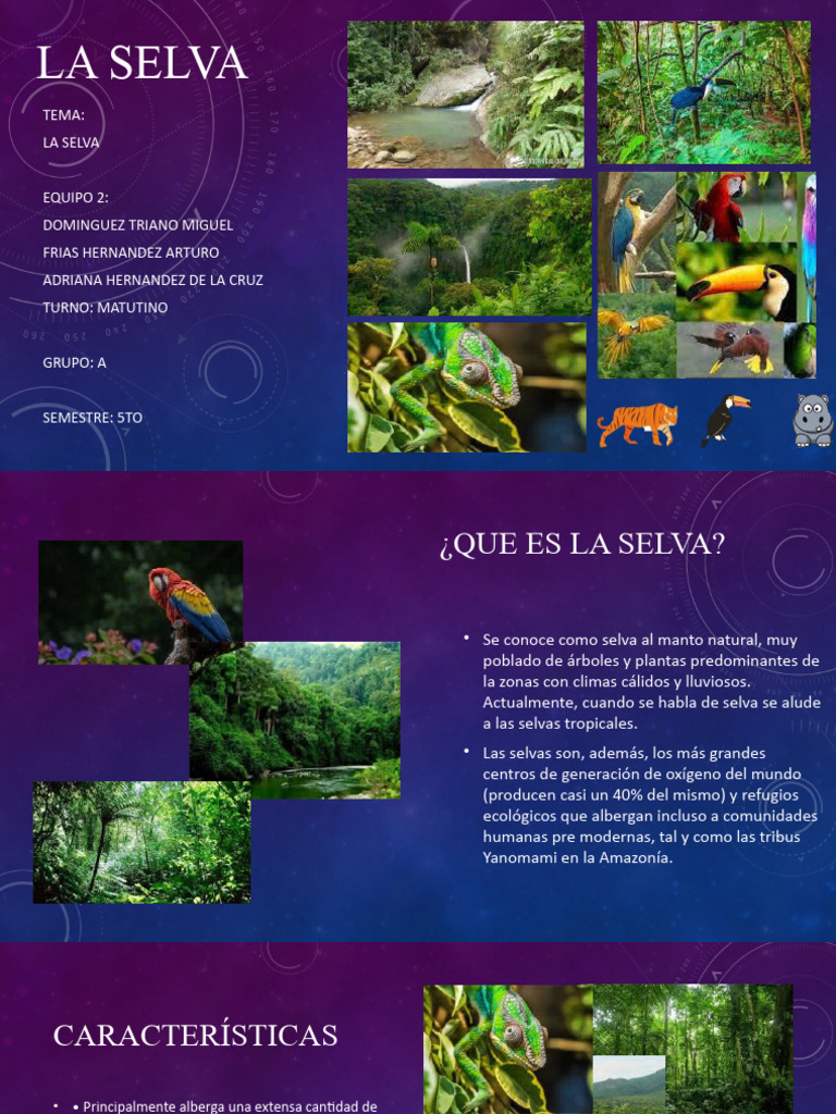 La Selva | PDF | Selva | Zona tropical