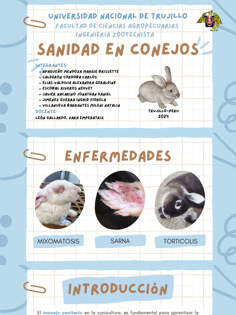Enfermedades Comunes en Conejos | PDF | Piel | Virus